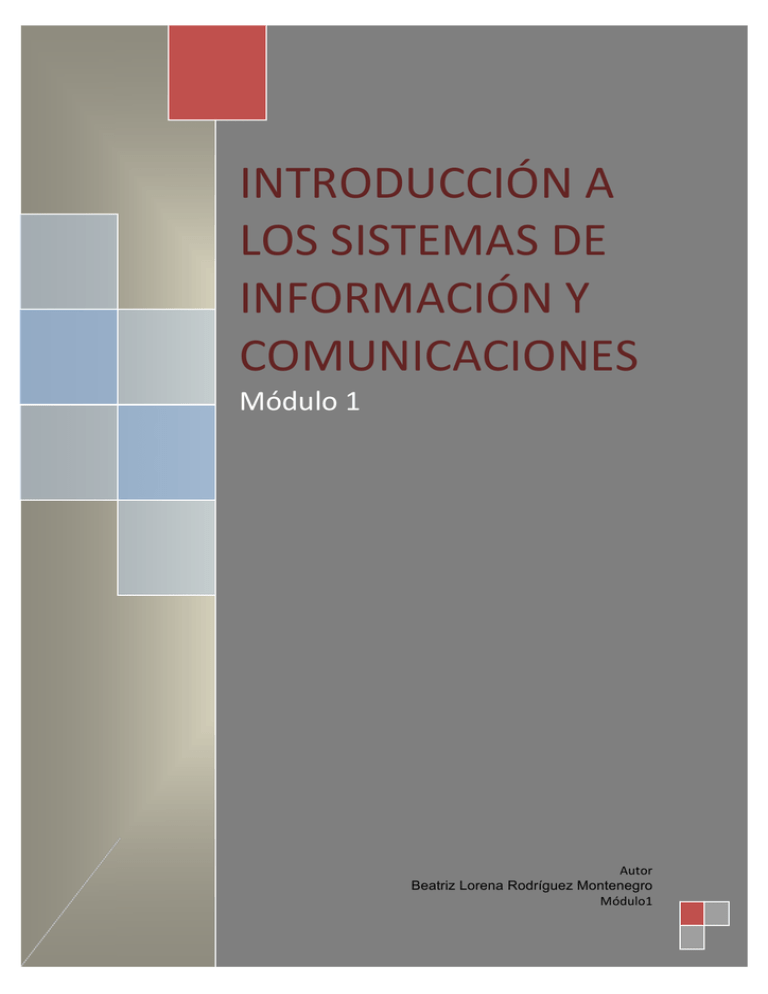 introducción a los sistemas de información y comunicaciones