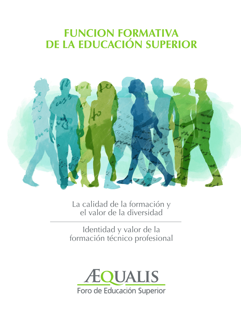 funcion formativa de la educación superior