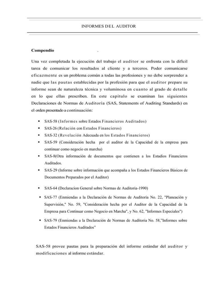 INFORME DEL AUDITOR SAS
