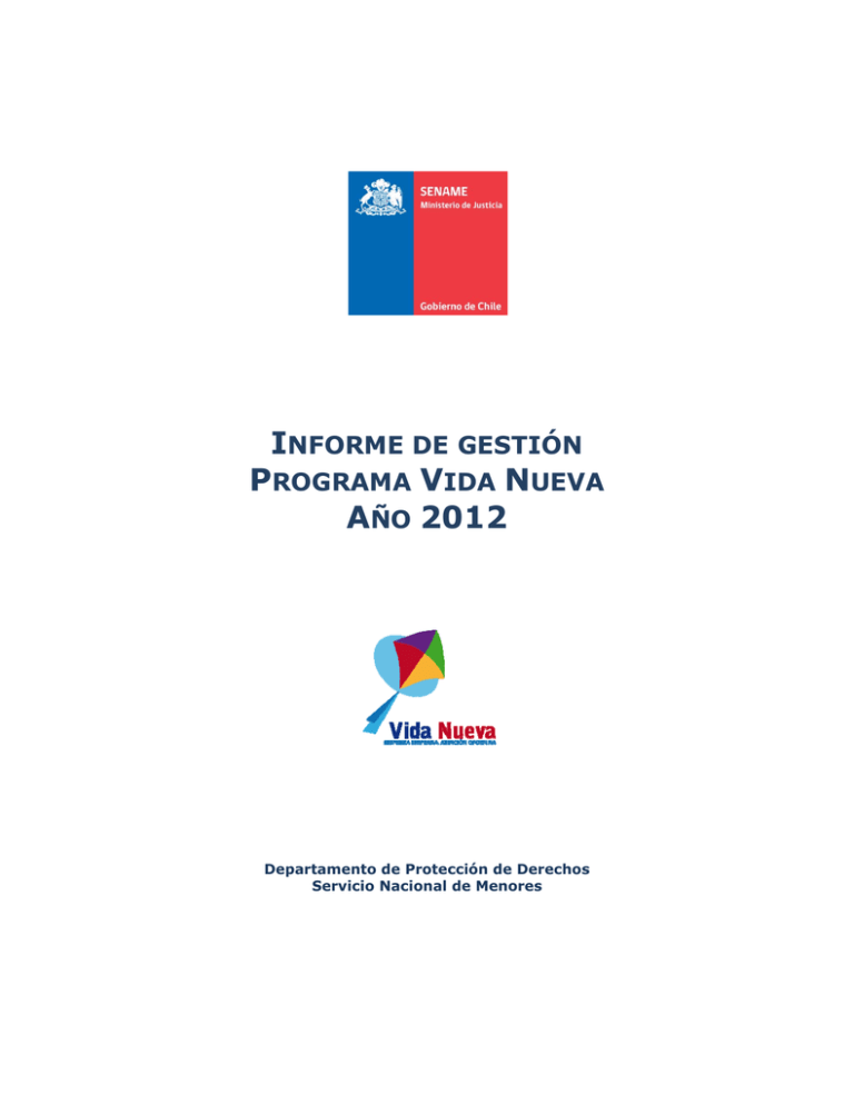 informe de gestión programa vida nueva año 2012