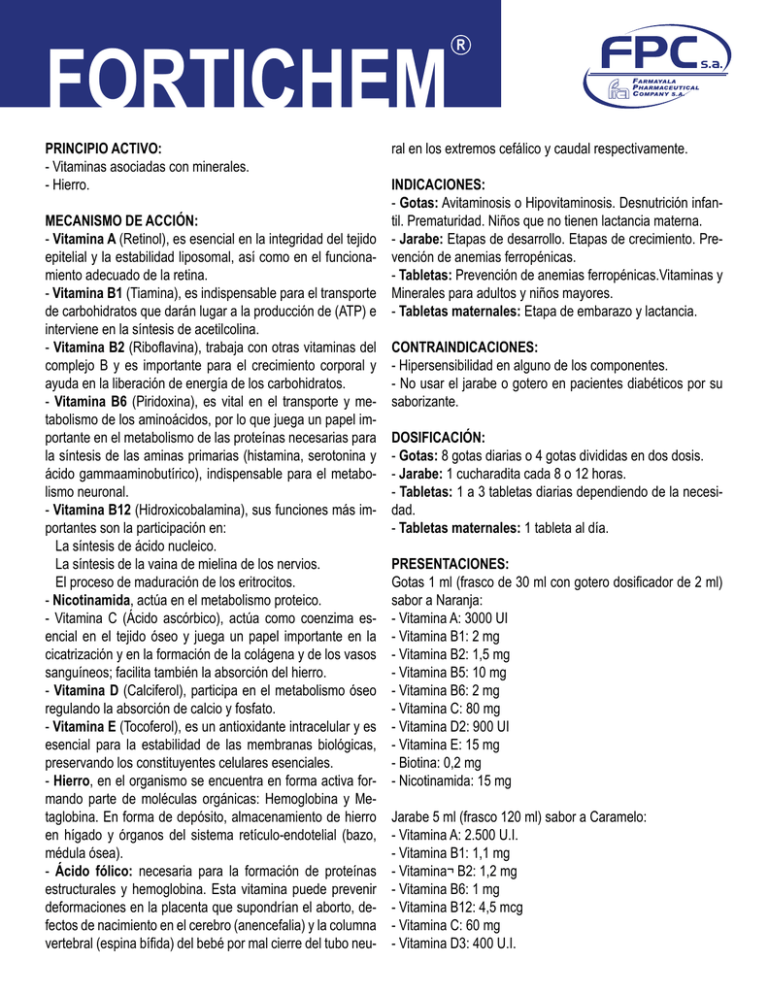 Inserto (Ficha Técnica)
