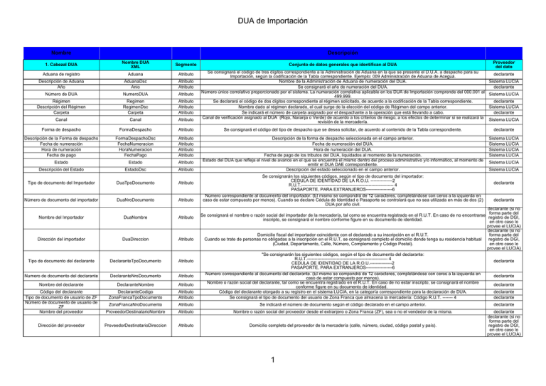 DUA de Importación - Dirección Nacional de Aduanas