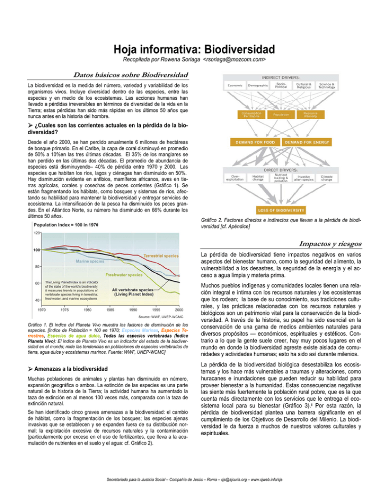 Hoja informativa: Biodiversidad