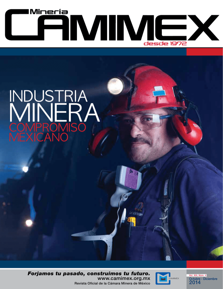 minera - Camimex