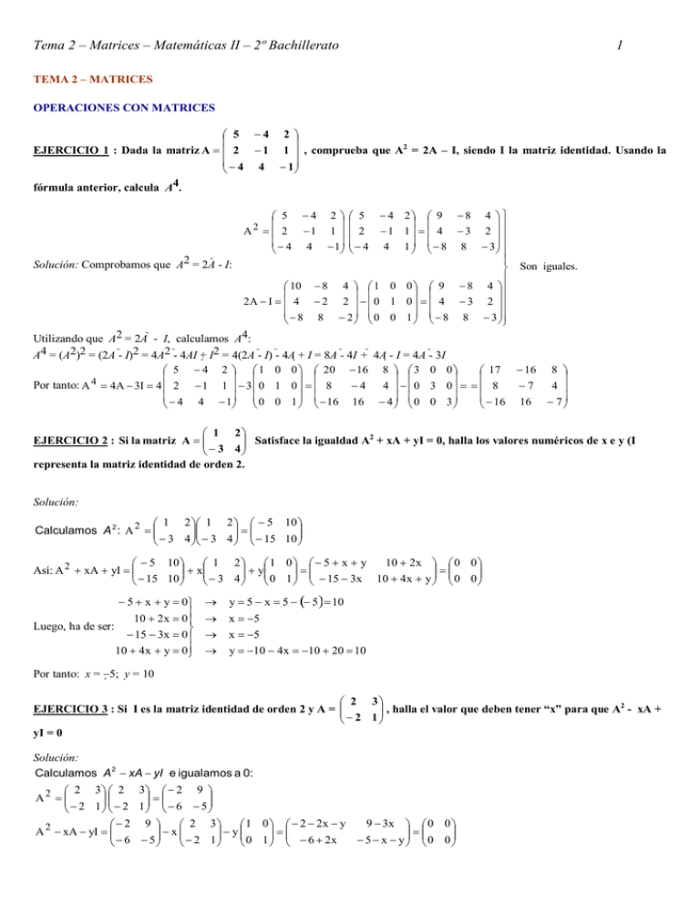 Tema 2 Matrices Matemáticas Ii 2º Bachillerato 1 0953