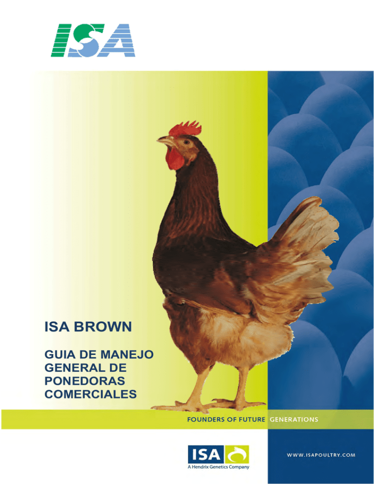 isa brown - Solla.com