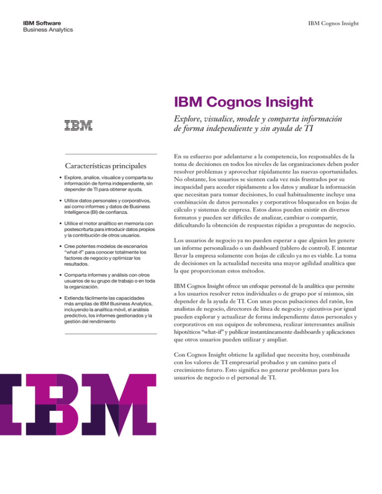 IBM Cognos Insight