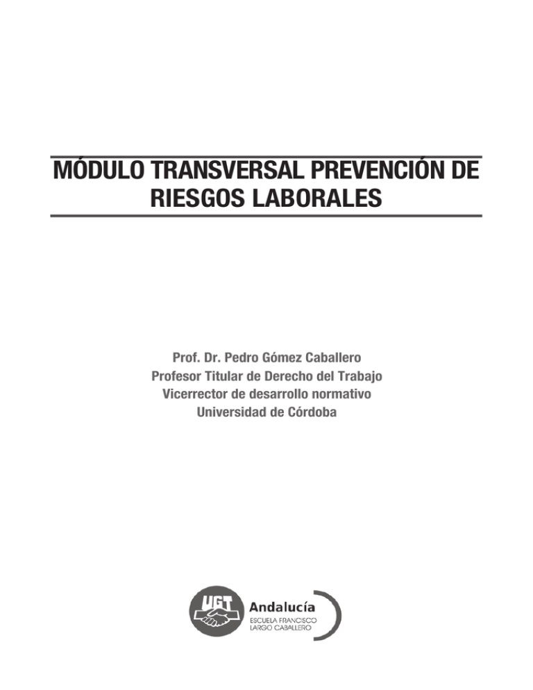 MÓDULO TRANSVERSAL PREVENCIÓN DE RIESGOS LABORALES