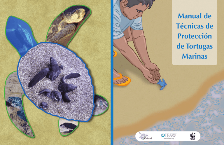 Manual de Técnicas de Protección de Tortugas Marinas