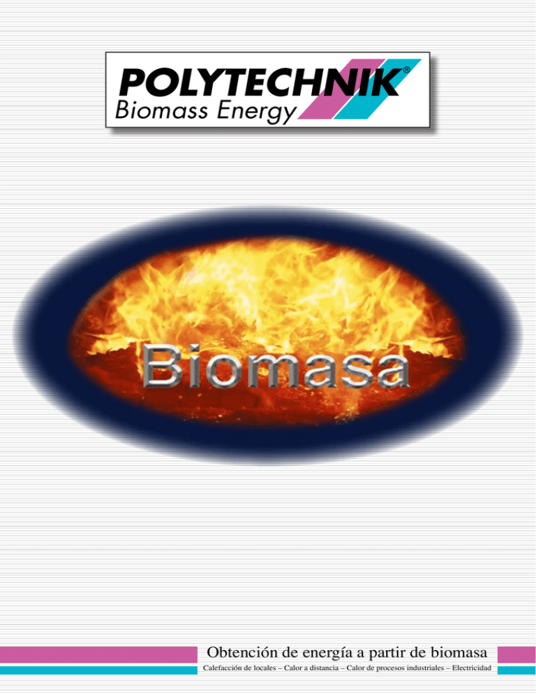 POLYTECHNIK Biomass Energy