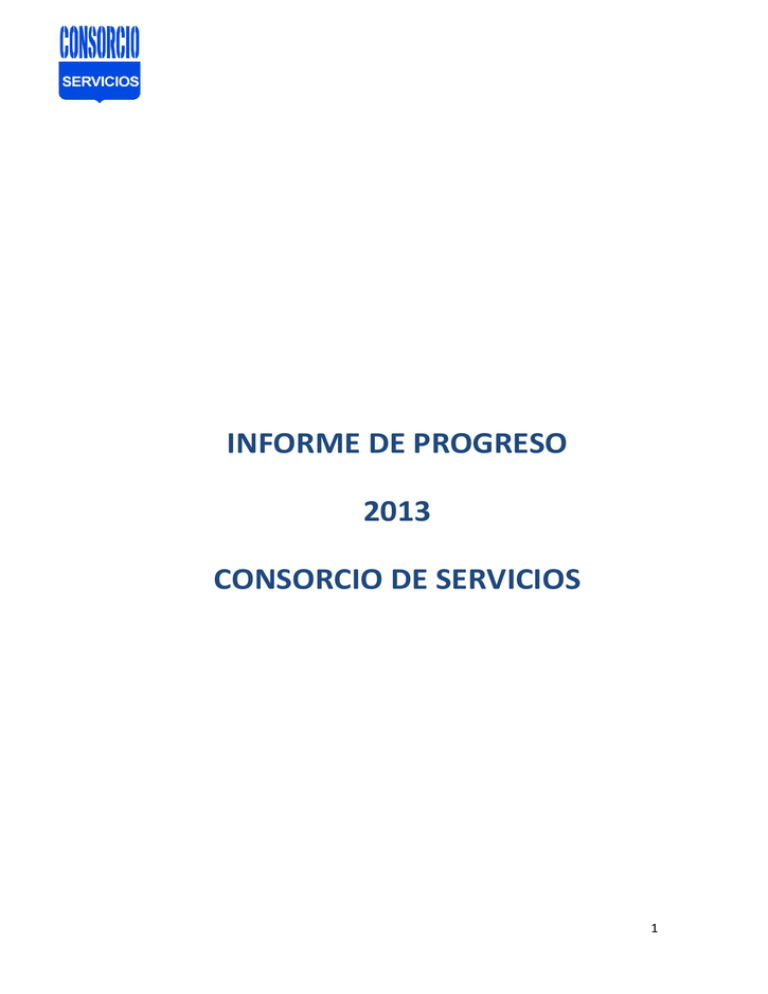 informe de progreso 2013 consorcio de servicios