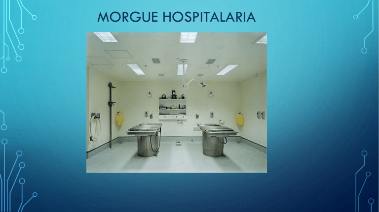 Morgue Hospitalaria 2