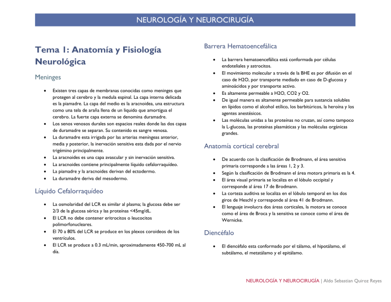 Neurologia y Neurocirugia