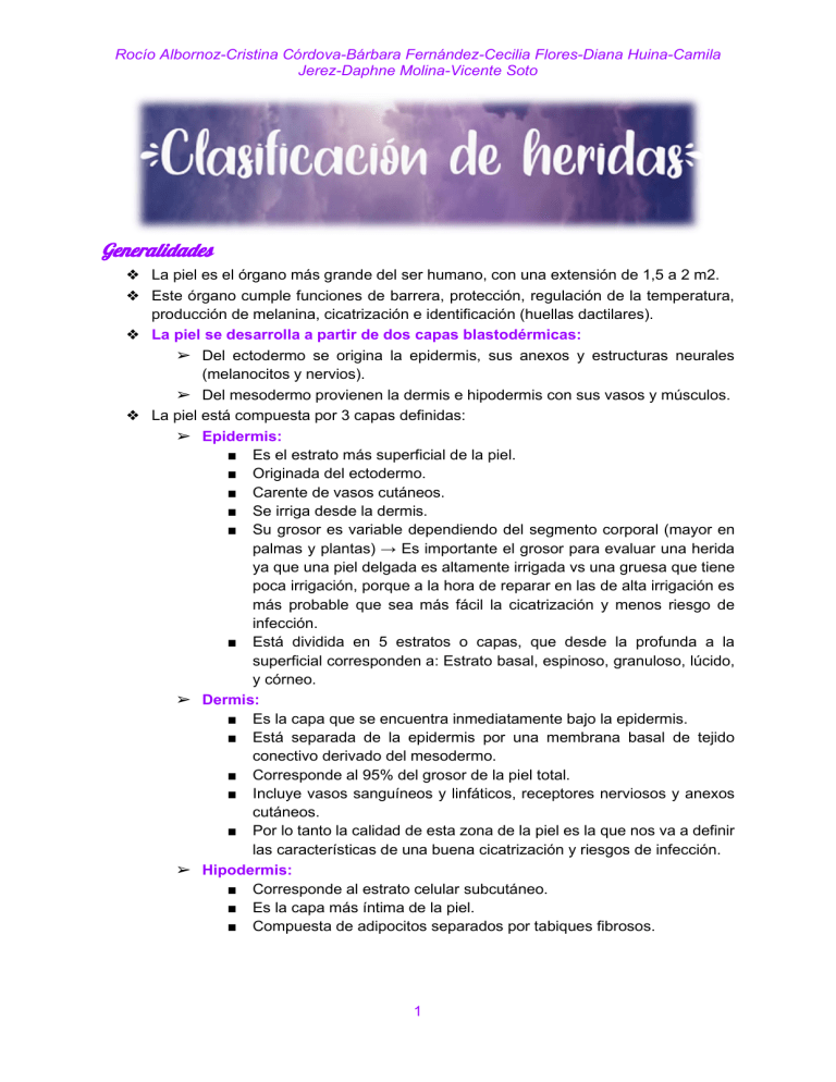 Clasificación de heridas