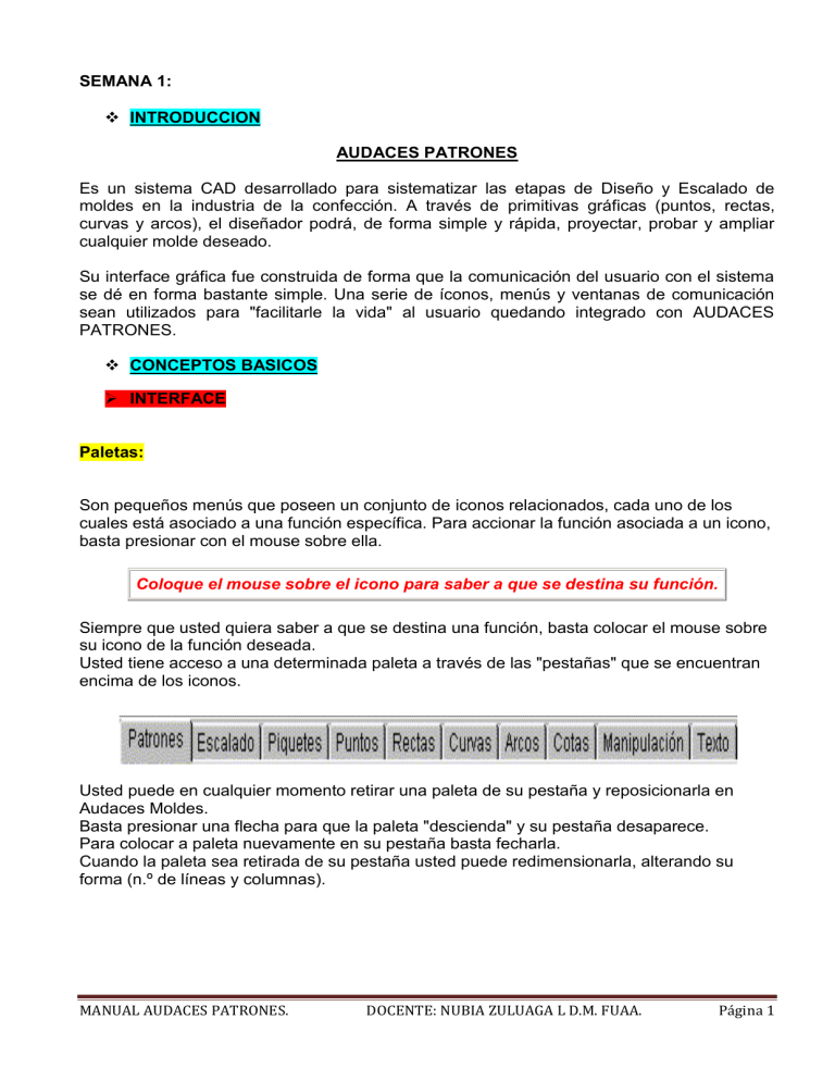 CLASE MANUAL AUDACES