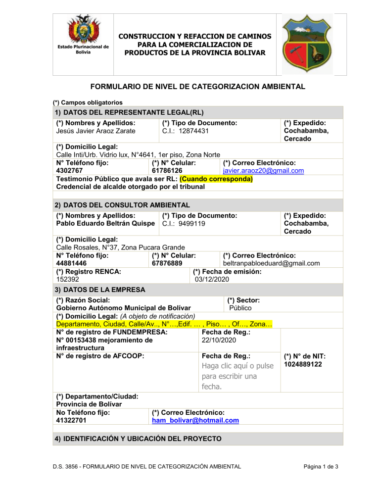 487636364-FORMULARIO-DE-NIVEL-DE-CATEGORIZACION-AMBIENTAL-docx