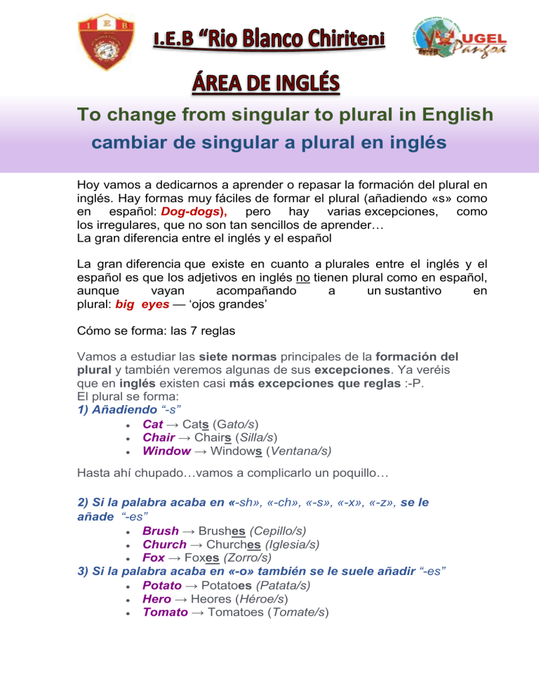 Formación del Plural en Inglés: Ejercicios