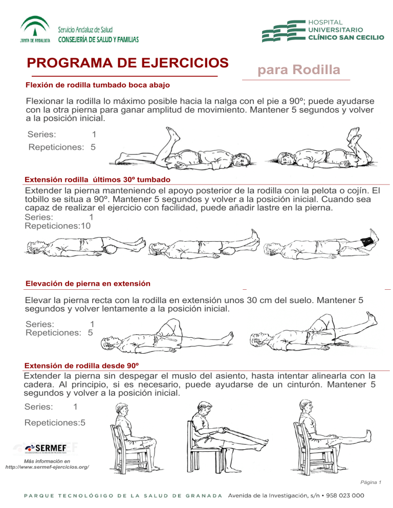 Programa de Ejercicios para Rodilla: Fortalecimiento y Flexibilidad