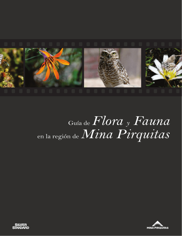 Guia-de-flora-y-fauna-en-la-region-de-mina-pirquitas