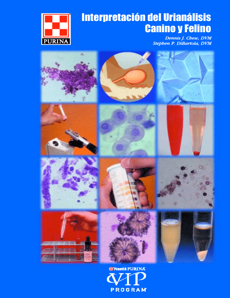 Interpretacion del Urianalisis Canino y