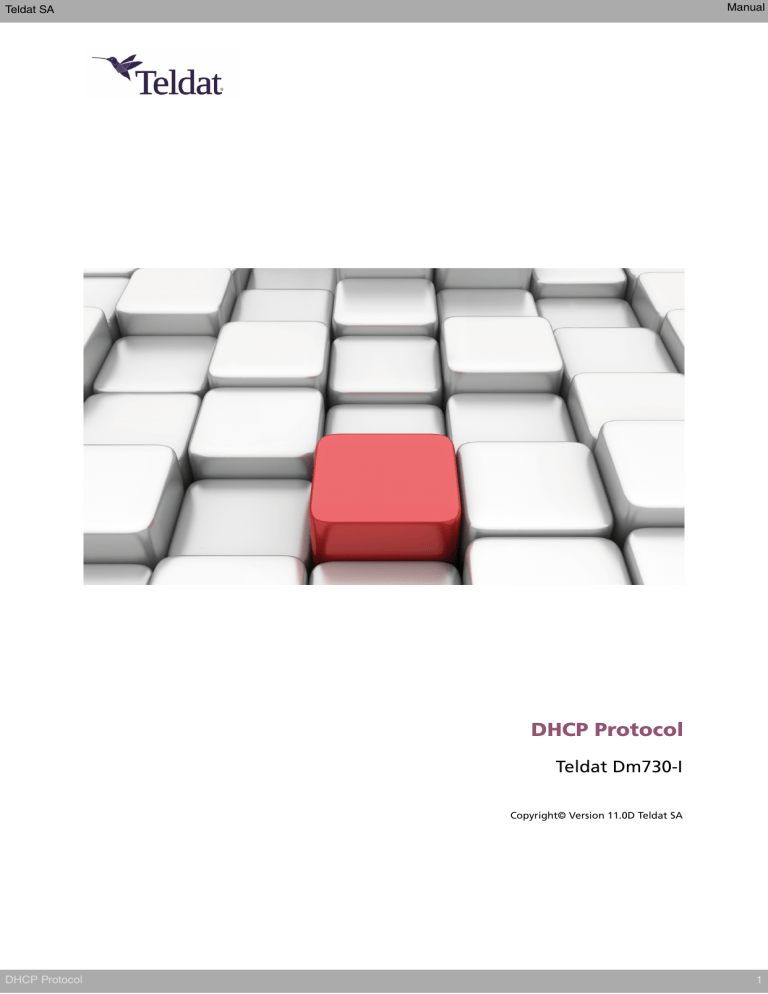 teldat dm730-I DHCP Protocol(13)