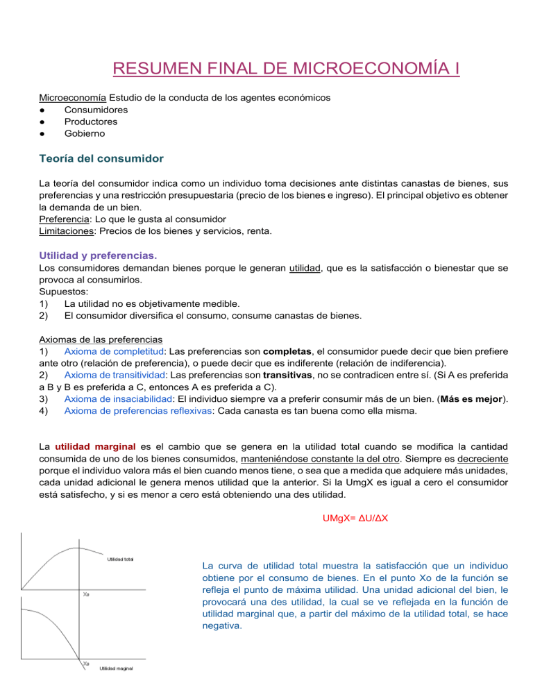 RESUMEN FINAL MICRO I