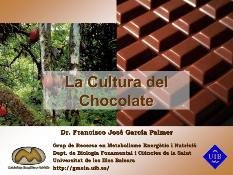 La Cultura del Chocolate: Historia, Elaboración y Degustación