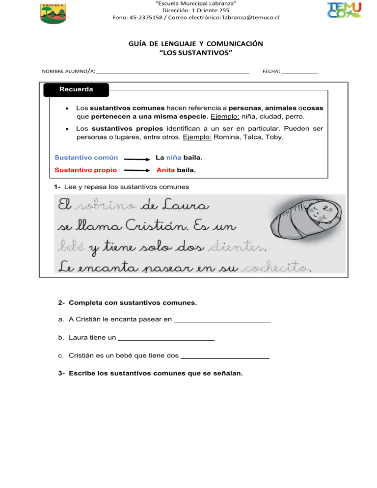 Guía de Lenguaje: Los Sustantivos - Ejercicios