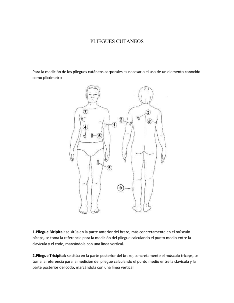 Medición de Pliegues Cutáneos: Guía Anatómica Detallada