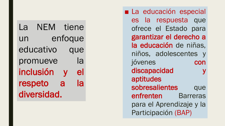 NEM: Inclusión, Educación Especial y Planes de Intervención