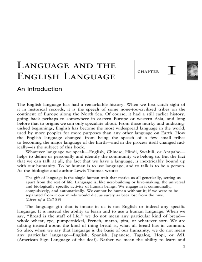 Language & English Language: Introduction to Linguistics