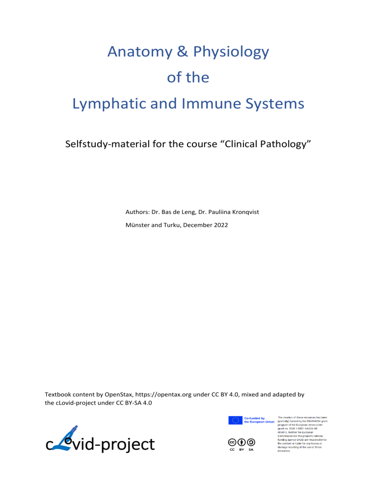 Lymphatic & Immune Systems: Anatomy & Physiology