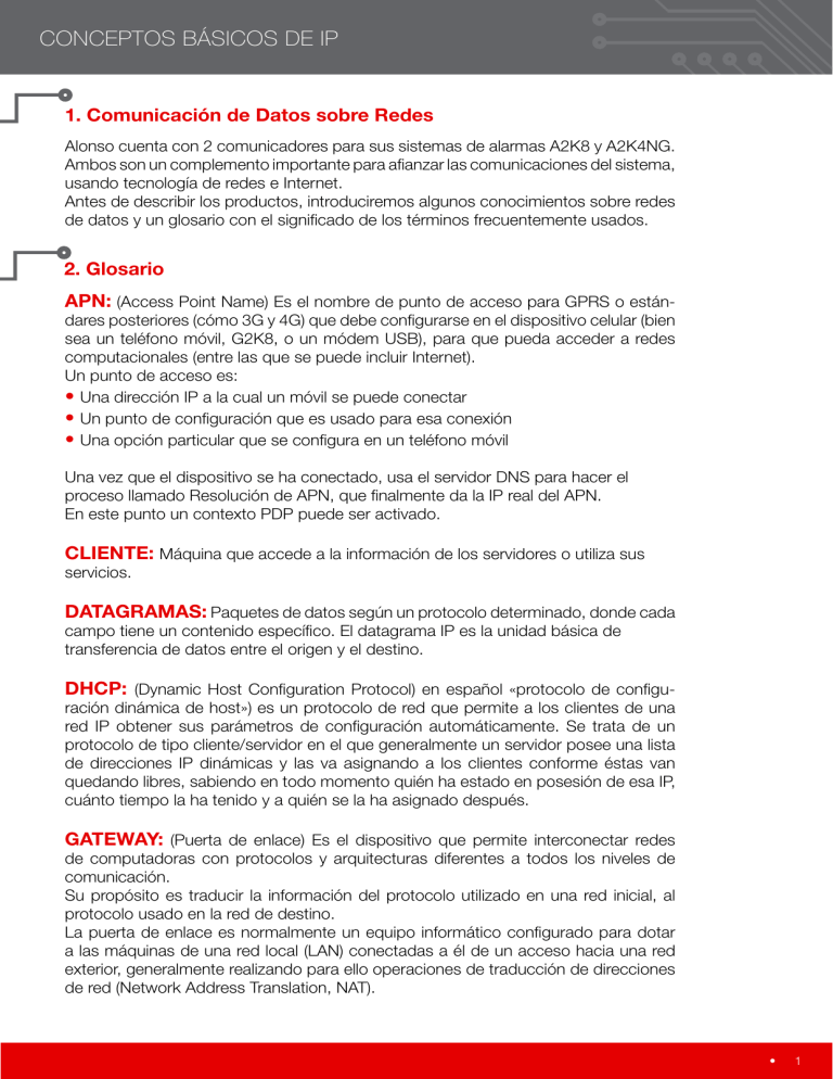 Conceptos Básicos de IP: Guía de Redes y Protocolos